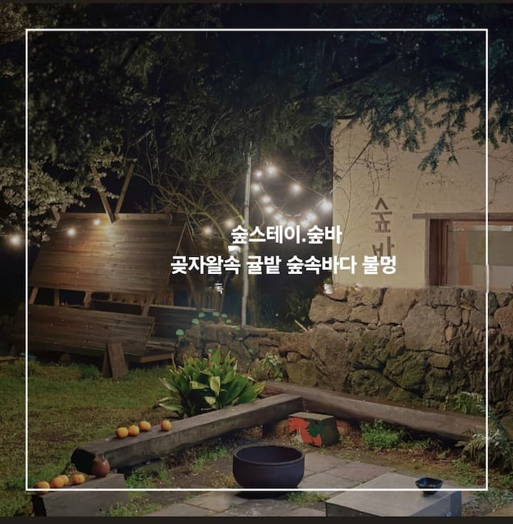 1300평 곶자왈 "제주도감성숙소" •불멍•귤밭•숲속바다•미니파크골프 - Jeju-si