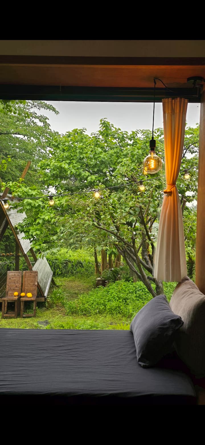 협재/한담 자차10여분 
"리뉴얼 20%할인"
•1300평 숲캉스정원 •귤밭•불멍•파크골프 - Jeju-si