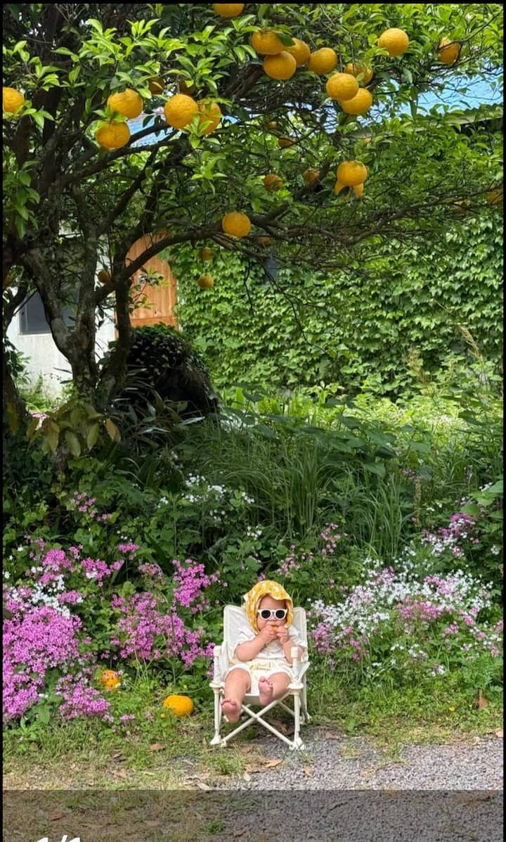 협재/한담 자차10여분 
"리뉴얼 20%할인"
•1300평 숲캉스정원 •자쿠지•불멍•귤밭뷰 - Jeju-si