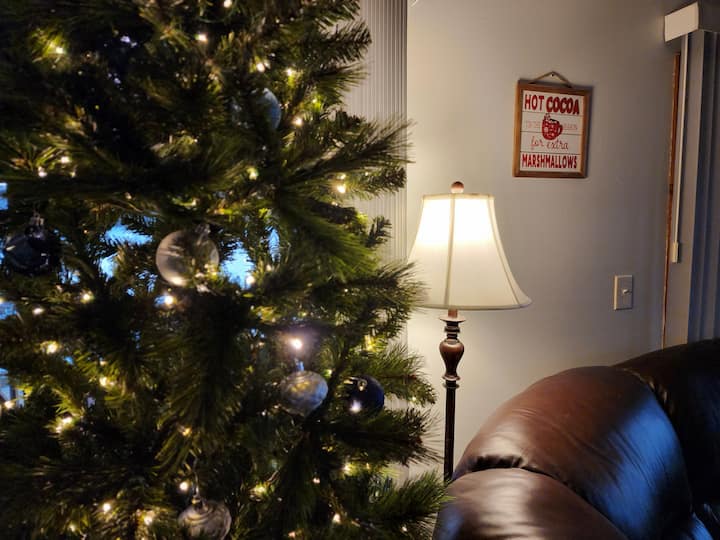 Cozy Christmas Escape On Smith Mountain Lake - スミス・マウンテン湖, VA