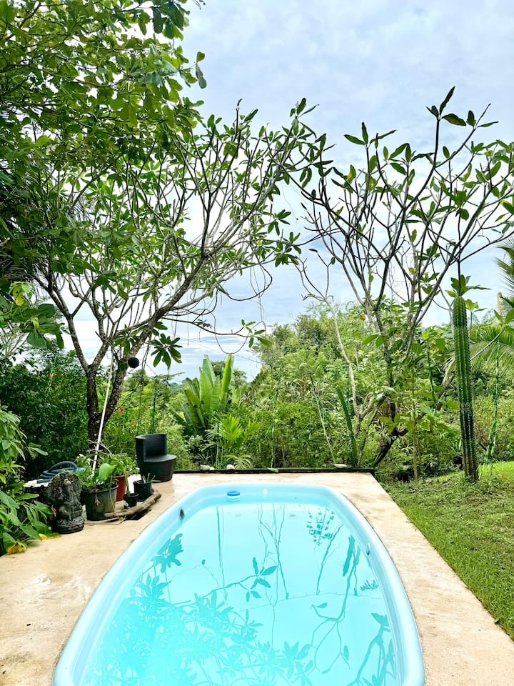Ocean View Loft Between The Trees - Costa Rica
