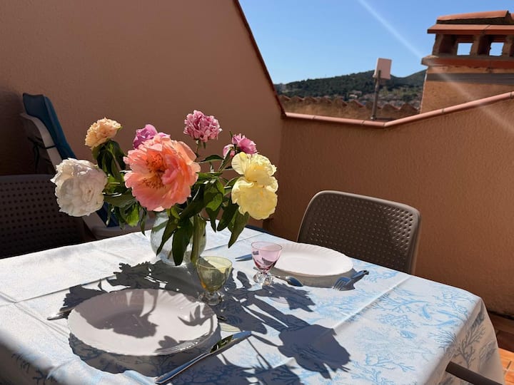 Studio Banyuls-sur-mer, 1 Pièce, 2 Pers. - Plage De Cerbère