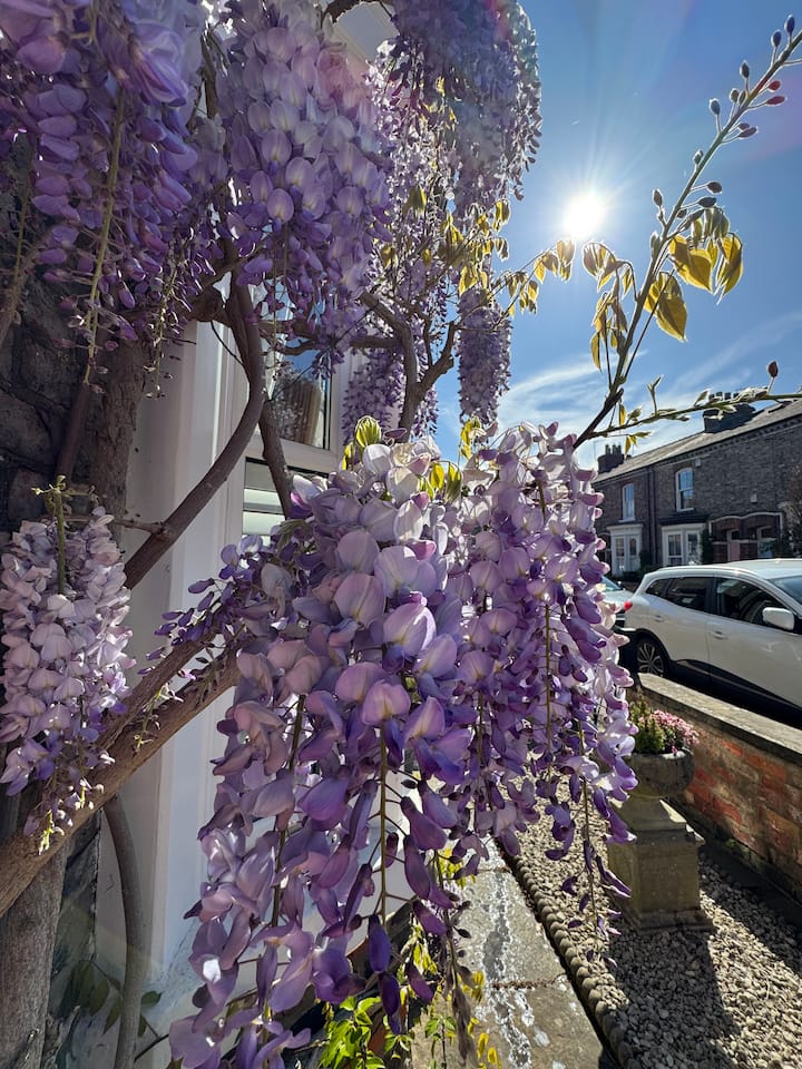 Charming Courtyard Cottage - York
