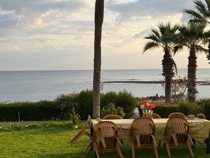 The Seaside Lawn 
La Pelouse Au Bord De La Mer - Famagusta