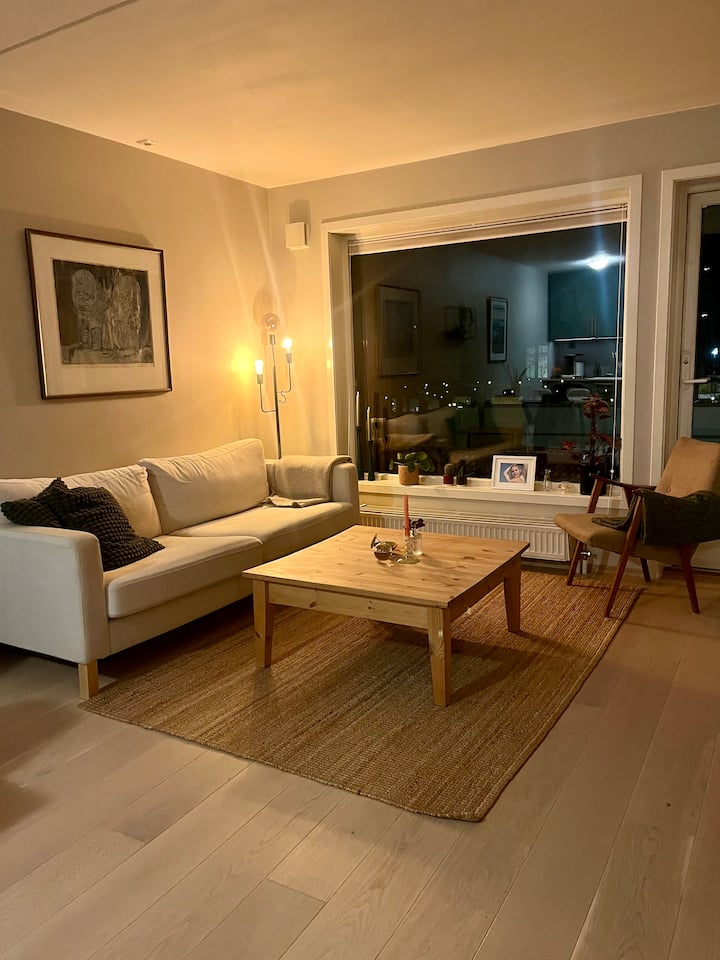 Lovely Apartment Only 10 Minutes From City Center - Oslo