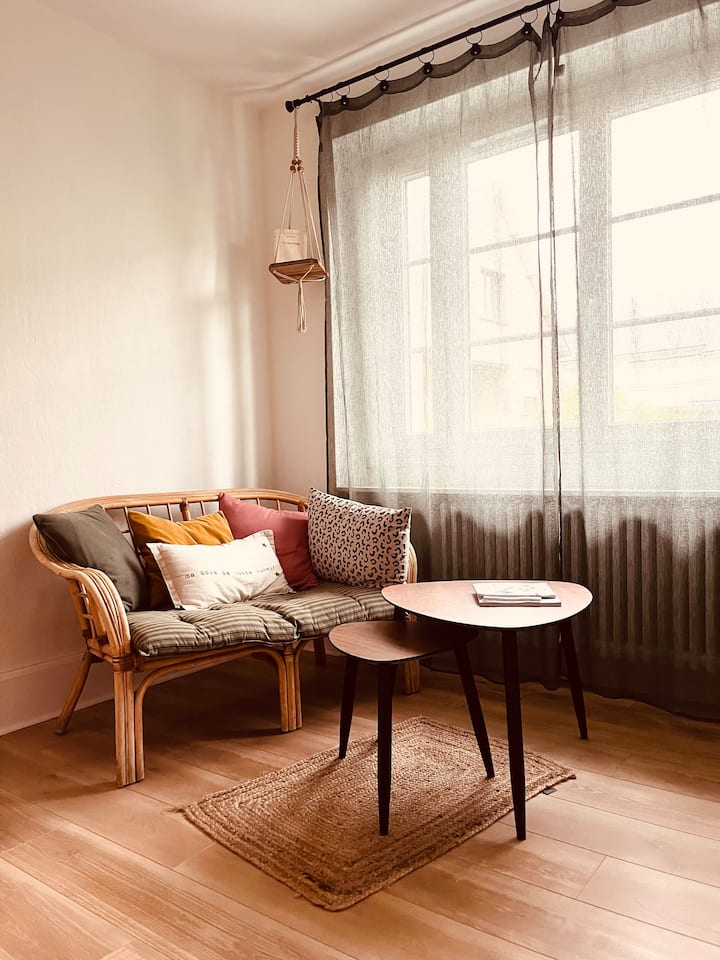 Dinan : Bel Appartement *Cosy* Calme & Proximité - 디넝