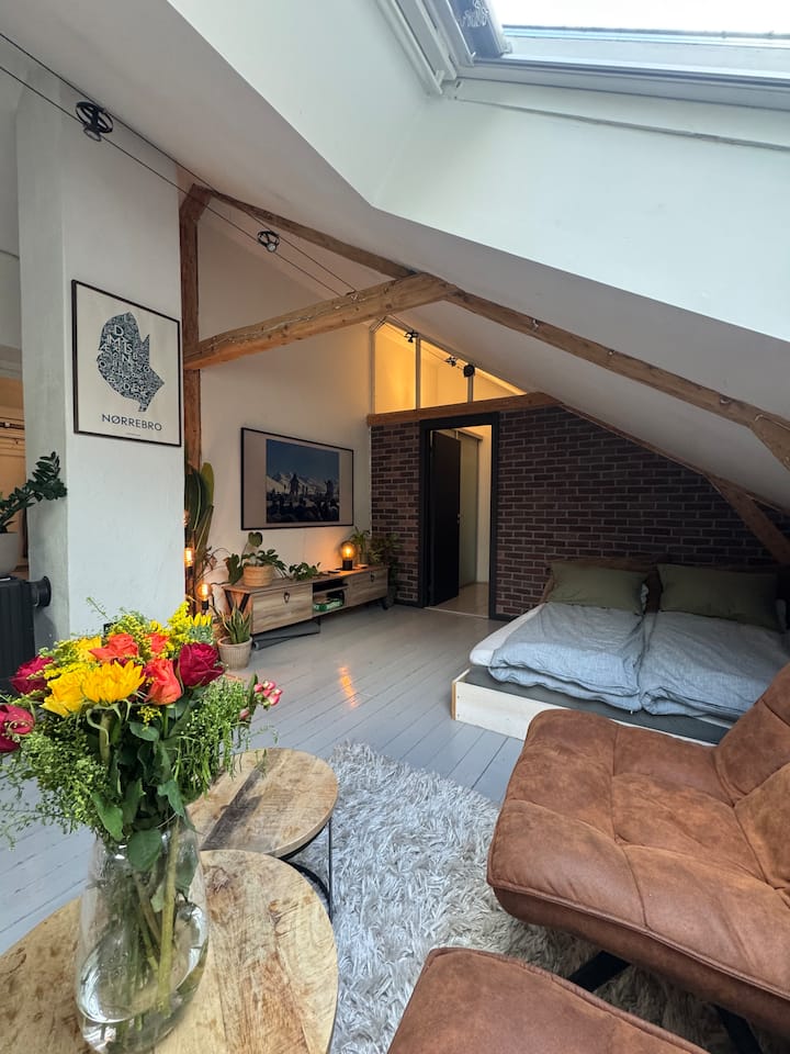 Penthouse Apartment With Balcony In Central Oslo! - Oslo