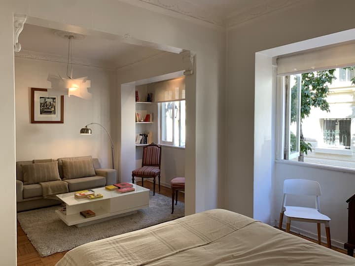 Cozy Apartment By Bellas Artes - Santiago, Chile