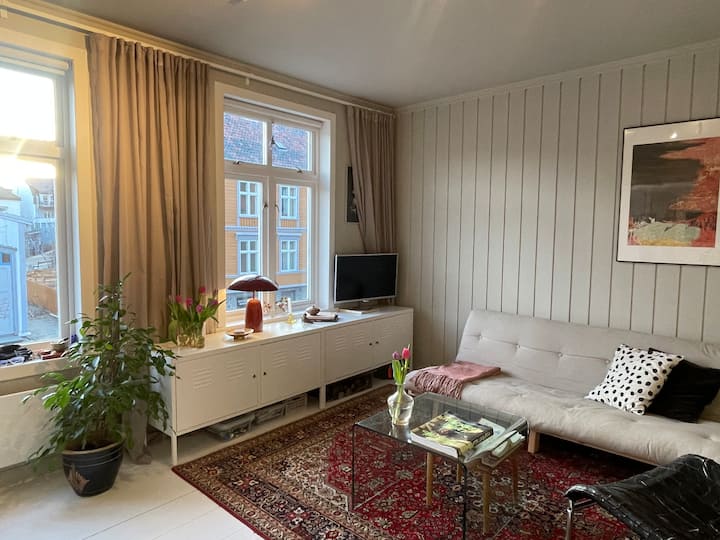 Koselig Selveierleilighet Med Peis Og Personlighet - Trondheim