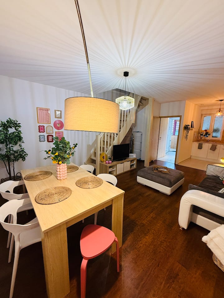 Appartement De Charme Hyper Centre Colmar - Colmar