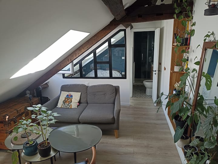 Nid Douillet Sous Les Toits Au Centre De Paris - Musée des Arts et Métiers