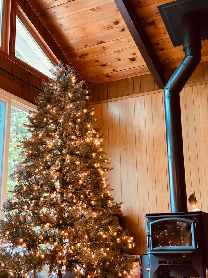 Sleepy Bear Chalet W/ac Private Lake - Arnold, California, CA