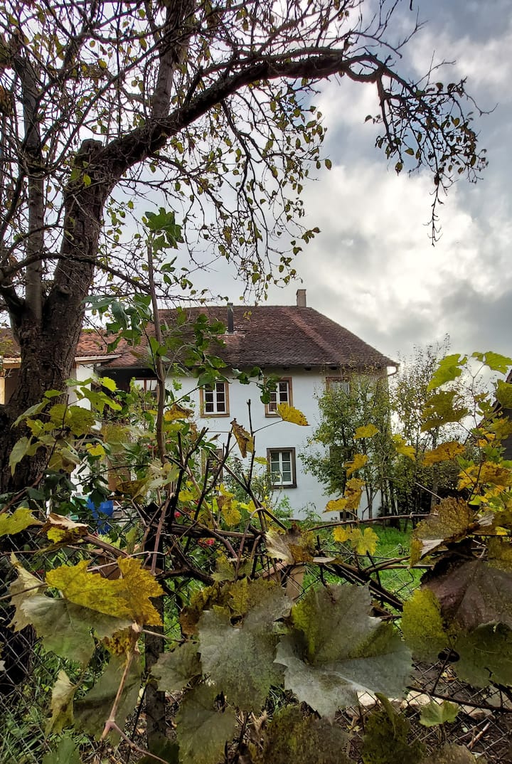 Ruhige Wohnung Mit Charme Aus Anderen Zeiten - Kanton Basel-Landschaft