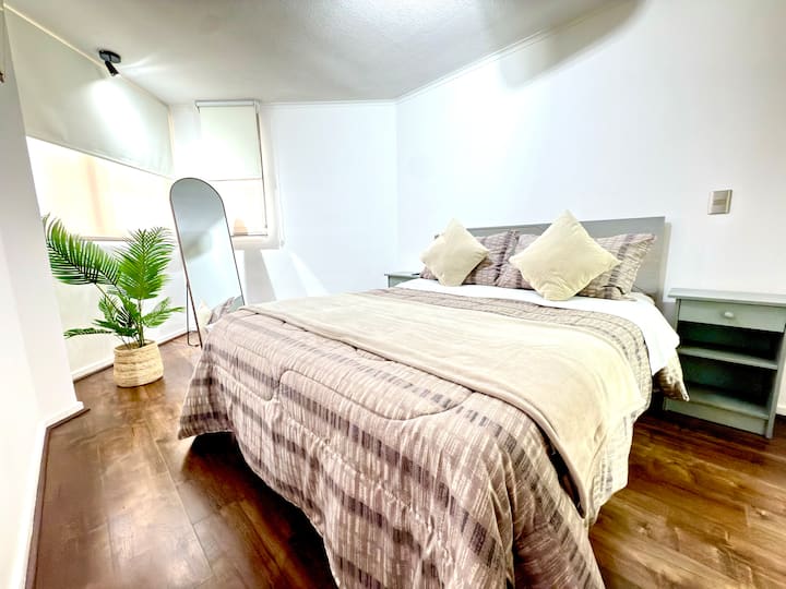Modern 1br Near Bellas Artes – Santiago Centro - 