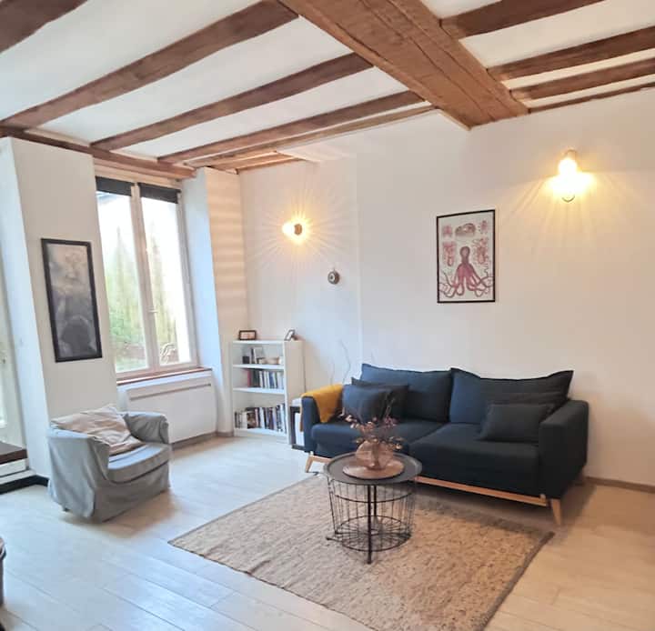 Appartement De Charme, Cour Privative Et Parking - Orléans