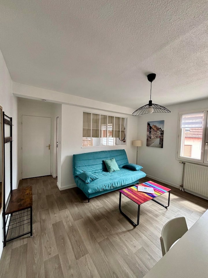 «&nbsp;Colmar Et Vous&nbsp;»  Parking Gratuit/centre Ville. - Colmar