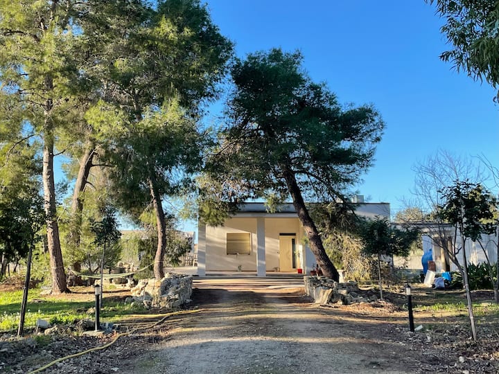 Villa In Campagna A Porto Cesareo - Porto Cesareo