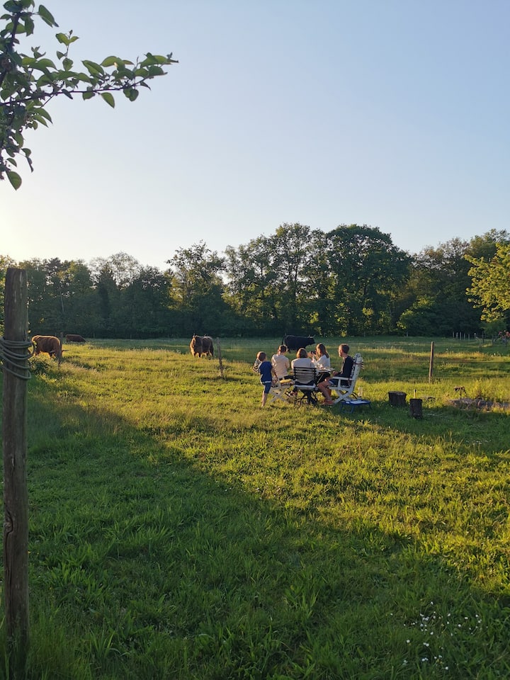 Familienhaus Mit Garten Im Künstlerdorf Worpswede - Worpswede