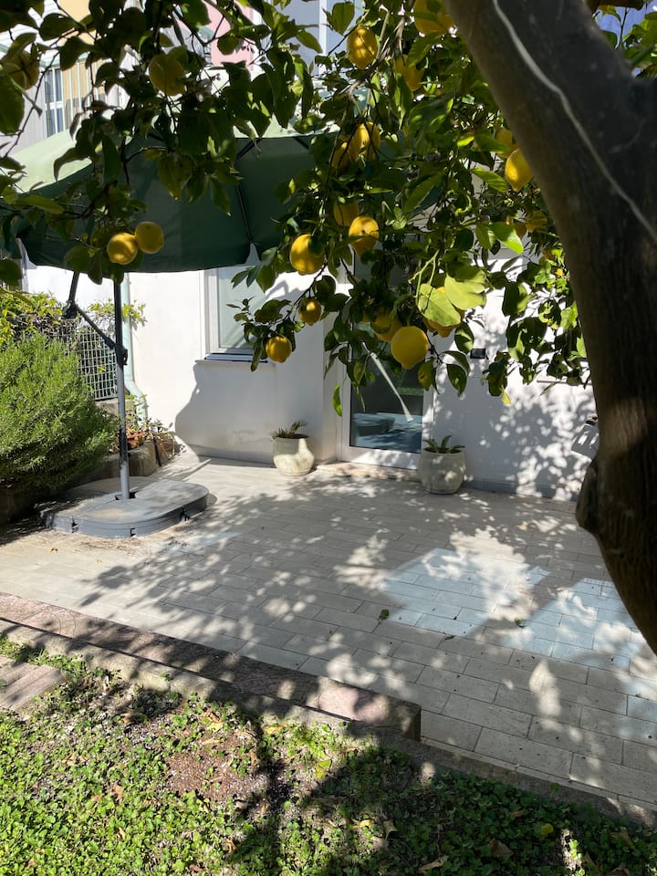 I Due Limoni - centro storico di San Salvo