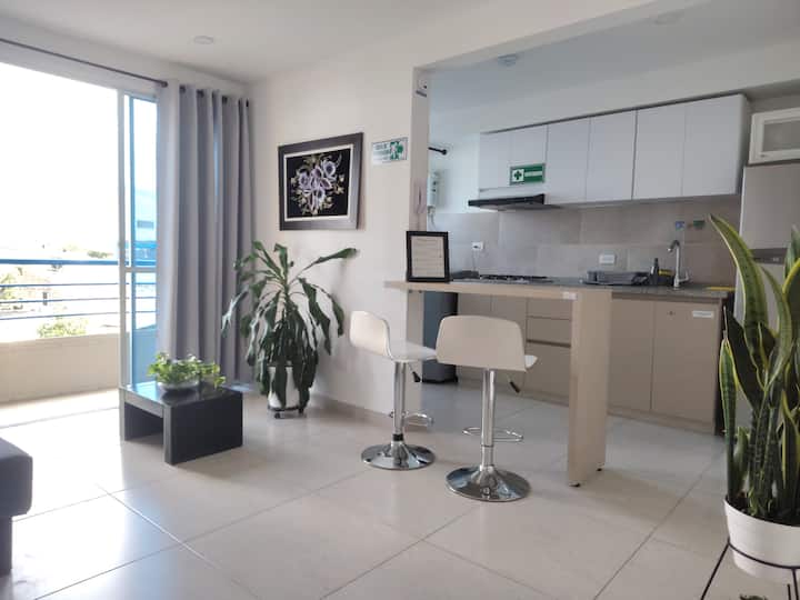 Céntrico · Piso 6 · Parq. Privado | Eje Cafetero - Calarcá