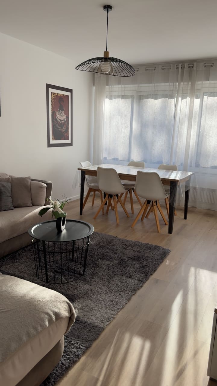 Grand Appartement Familiale, Proche Des Commerces - Annecy