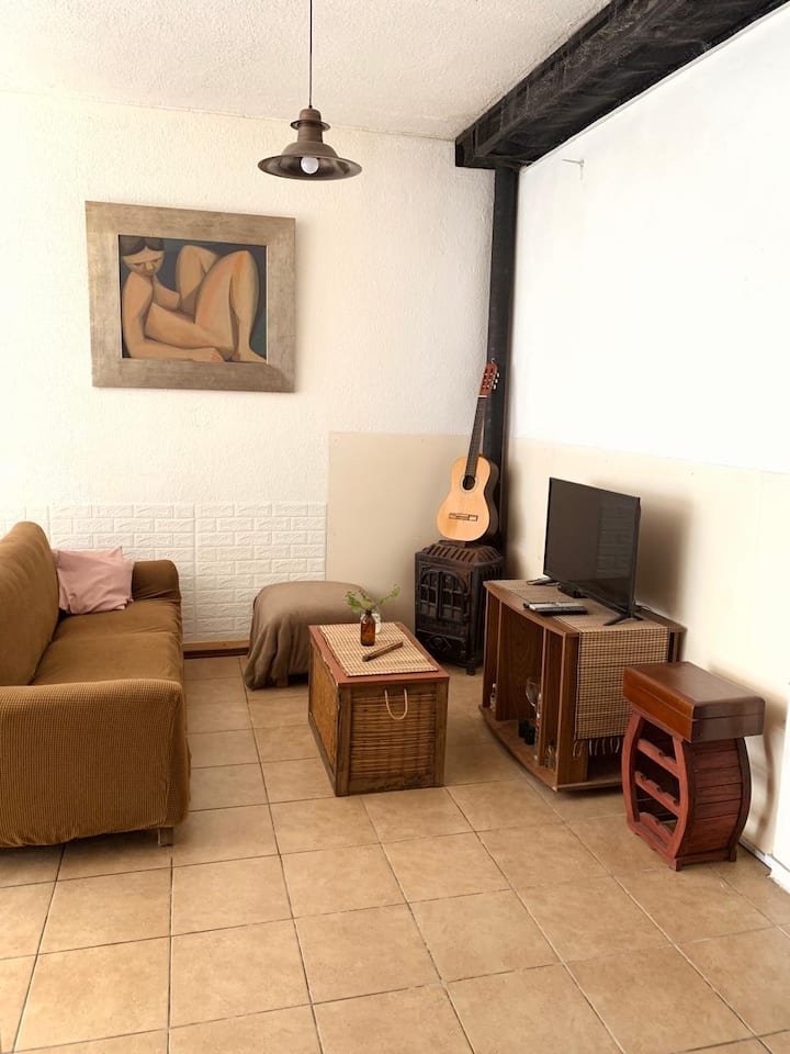 Spacious Downtown Apartment With Courtyard - Montevideo