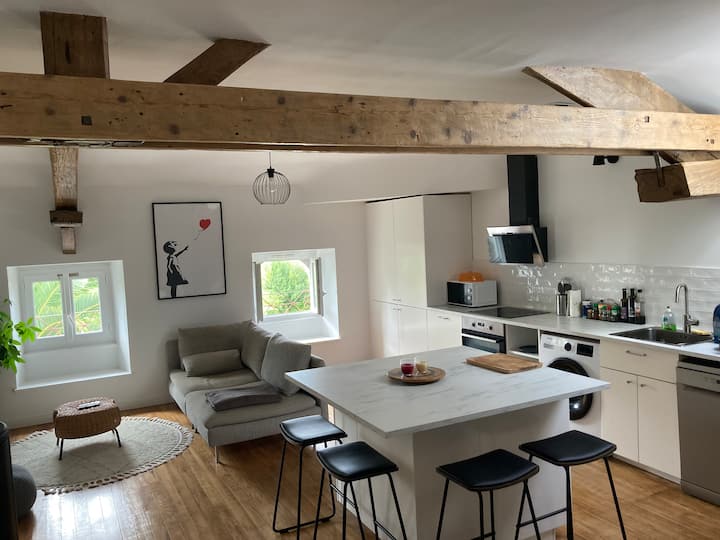 Appt Bord De Nive Proche Thermes - Cambo-les-Bains