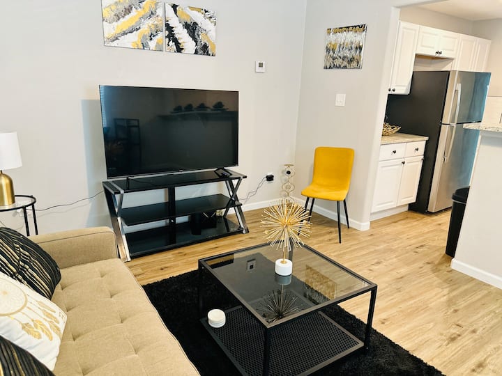 *At&t Stadium* Dallas Downtown* City Haven Gem - Grand Prairie, TX