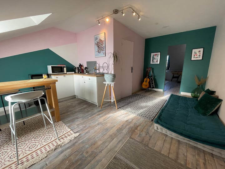 Logement Cocooning Vue Sur Loire - Blois