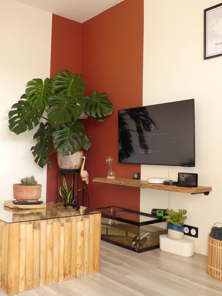 Appartement Proche Transports, Parking Gratuit - Balma