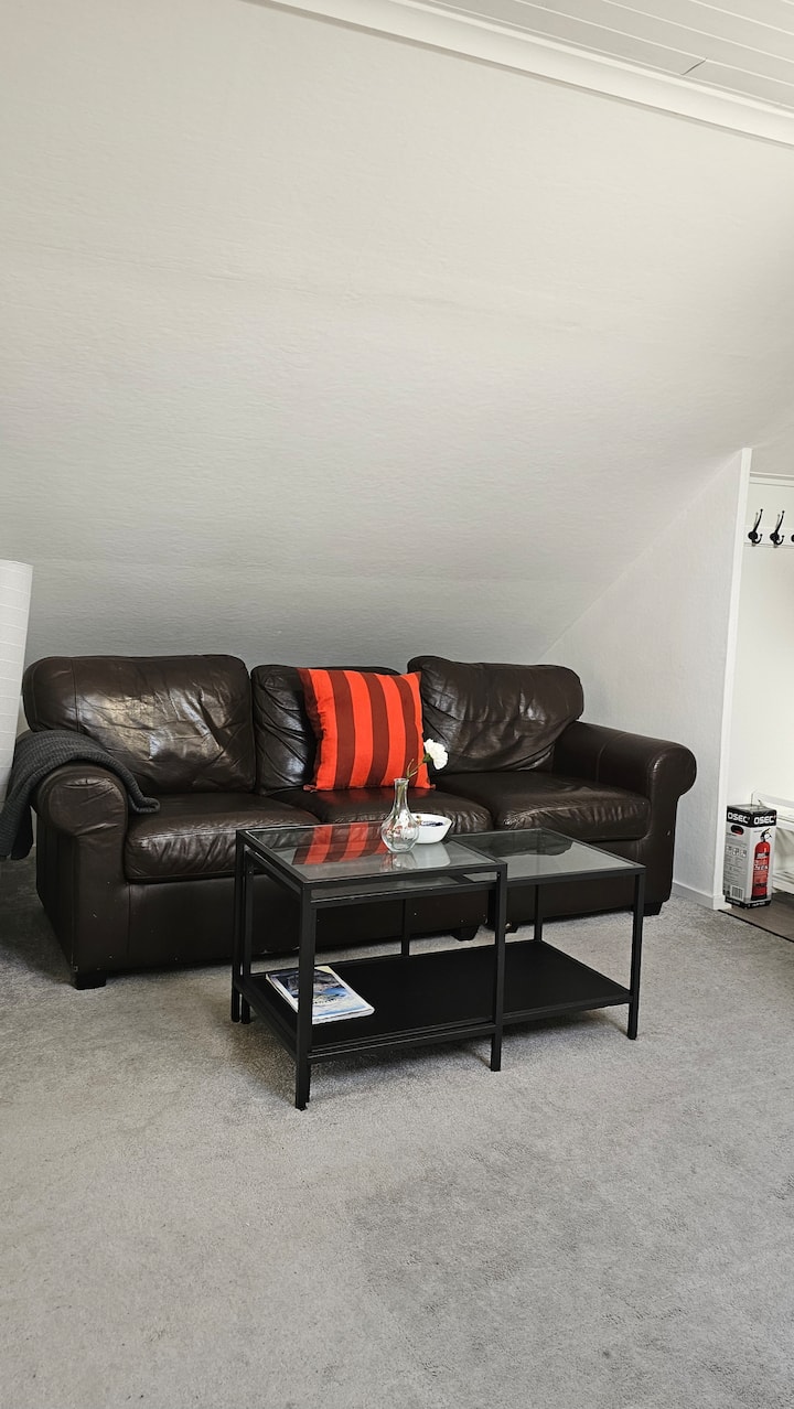 Cosey 1 Bedroom Loft With Free Parking - スタバンゲル