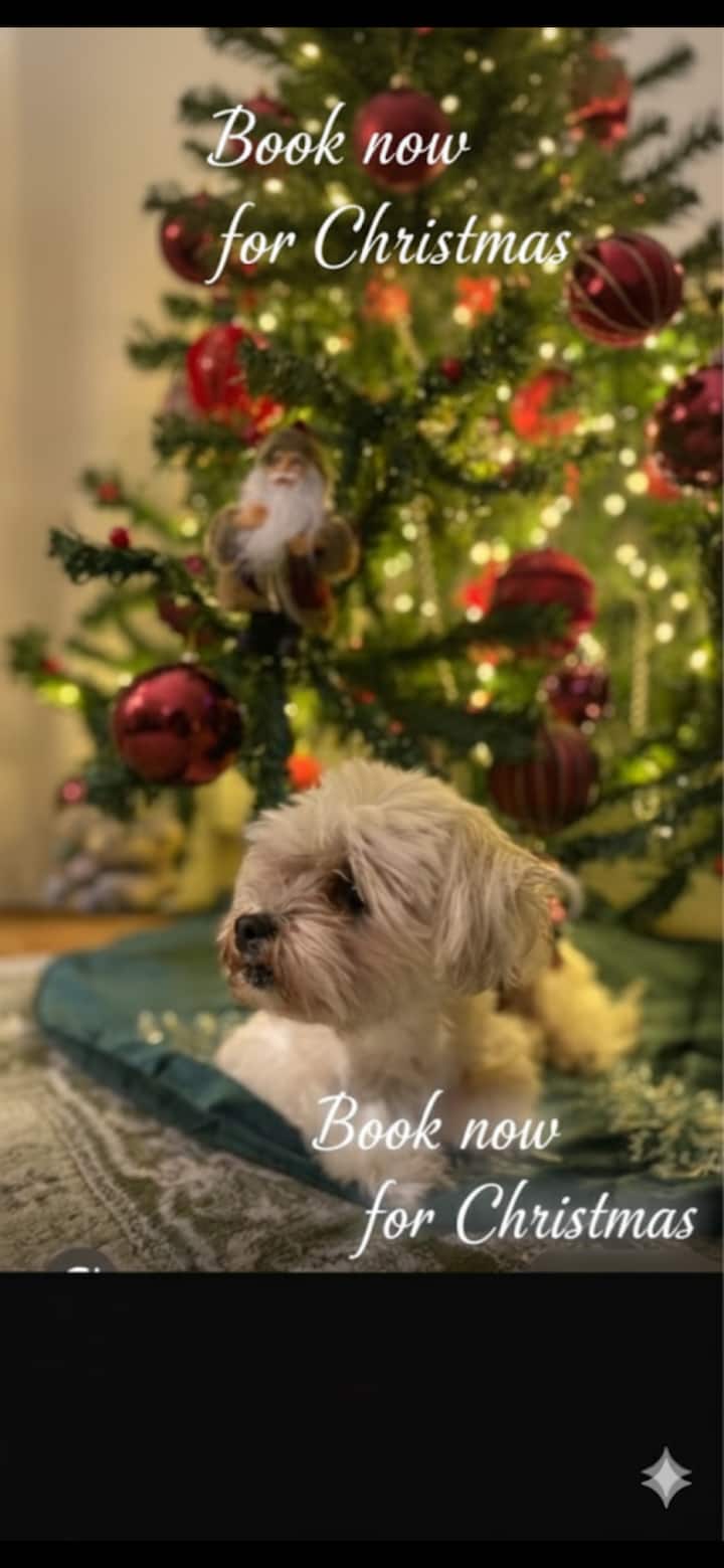 Near The Main Beach  Swanage 🏖 Sleeps 4 - Swanage