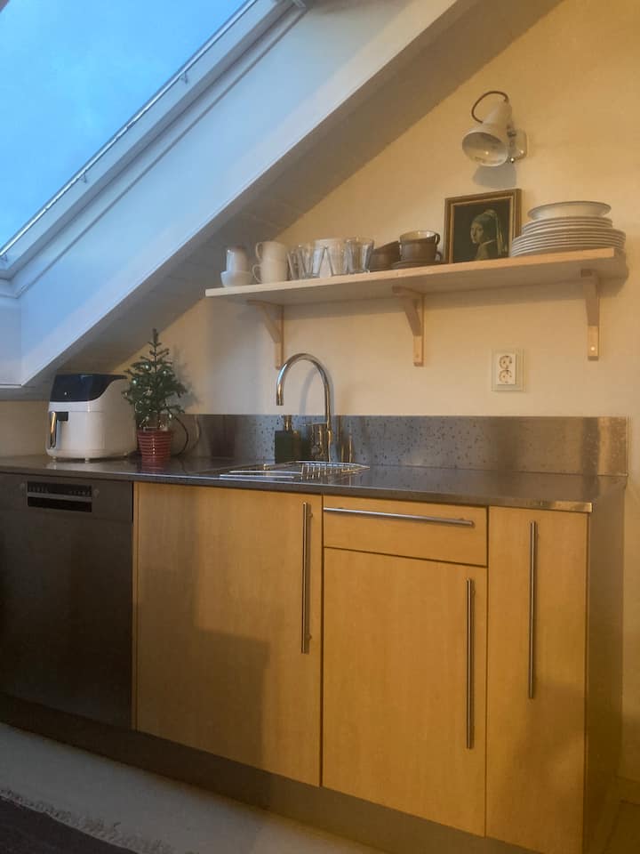 Rymligt Loft Intill Innerstaden, Göteborg (3 Pers) - Gothenburg