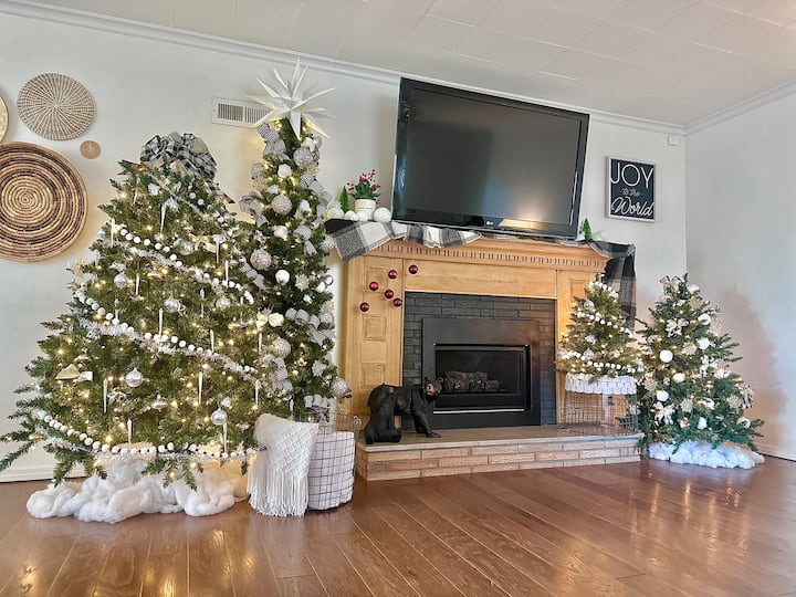 Holiday Decorated! 3 Living Rooms, 2 Garages, Gym! - Omaha, NE