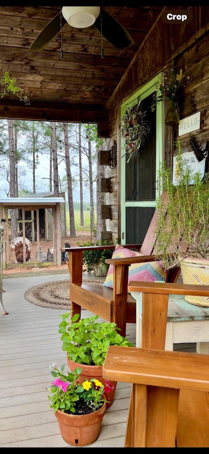 The Tiny Cabin At Carlton Farm - Alabama