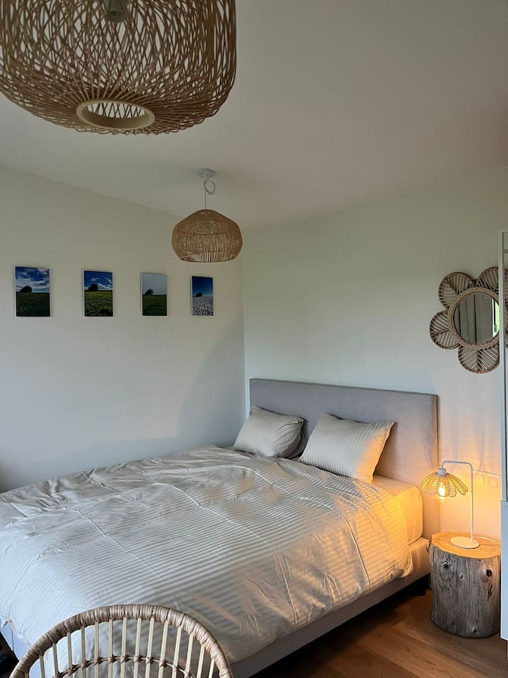 De 12 Wilgen - Ninove