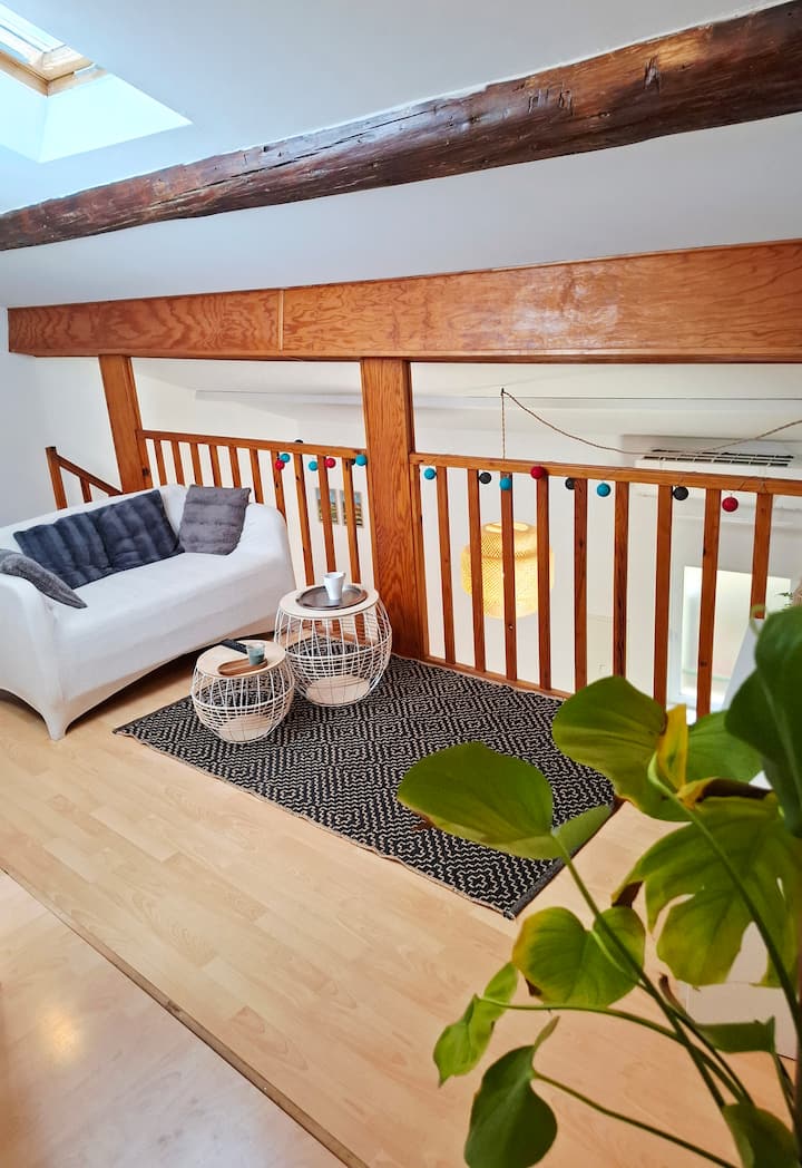 Duplex Au Cœur Du Luberon - Proche Parking Et Clim - Apt