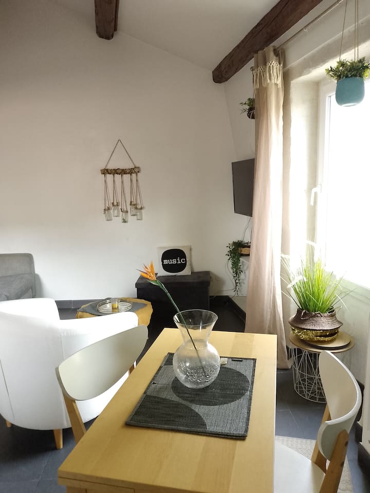 Perle Rare En Plein Coeur De Béziers - Béziers