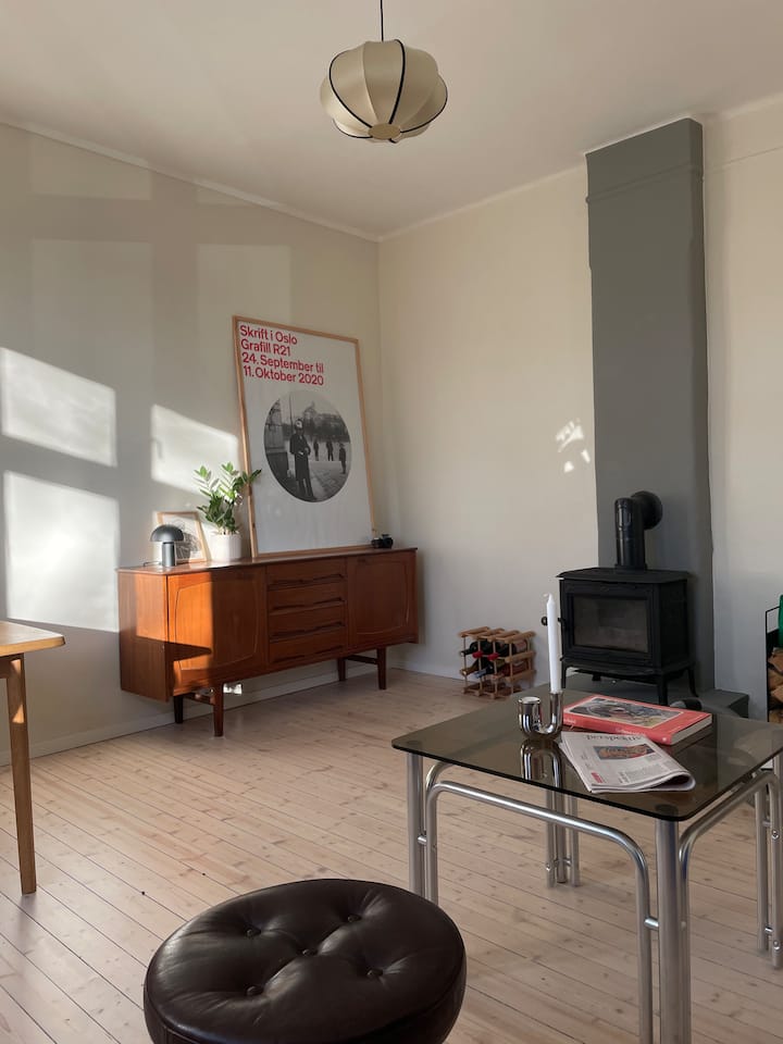 Koselig Leilighet På Rosenhoff - Oslo