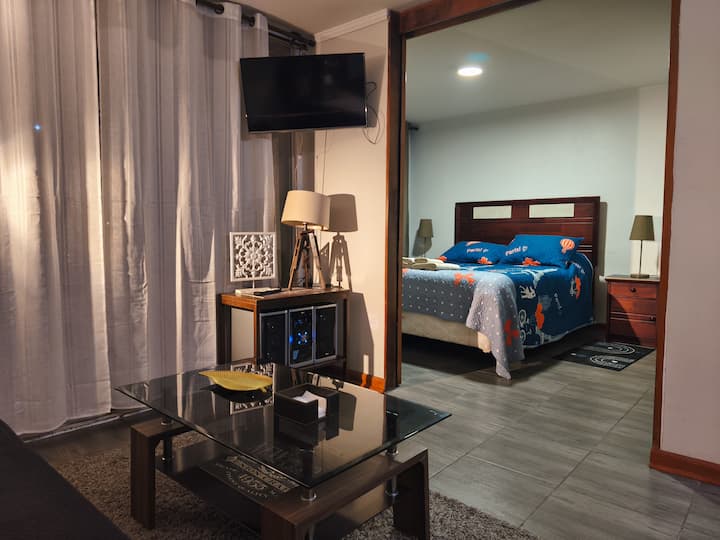 Appartement Entier Dans Le Centre De Santiago - Santiago