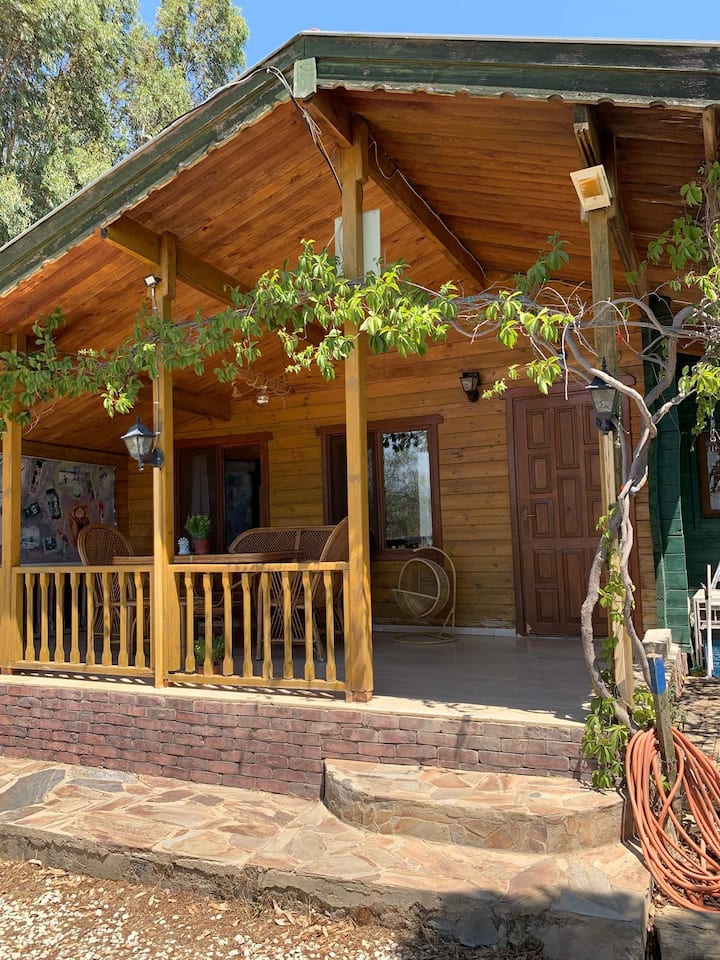 Yemyeşil Doga Huzur Manzara Ve Havuz Agacev Zeytin - Seferihisar