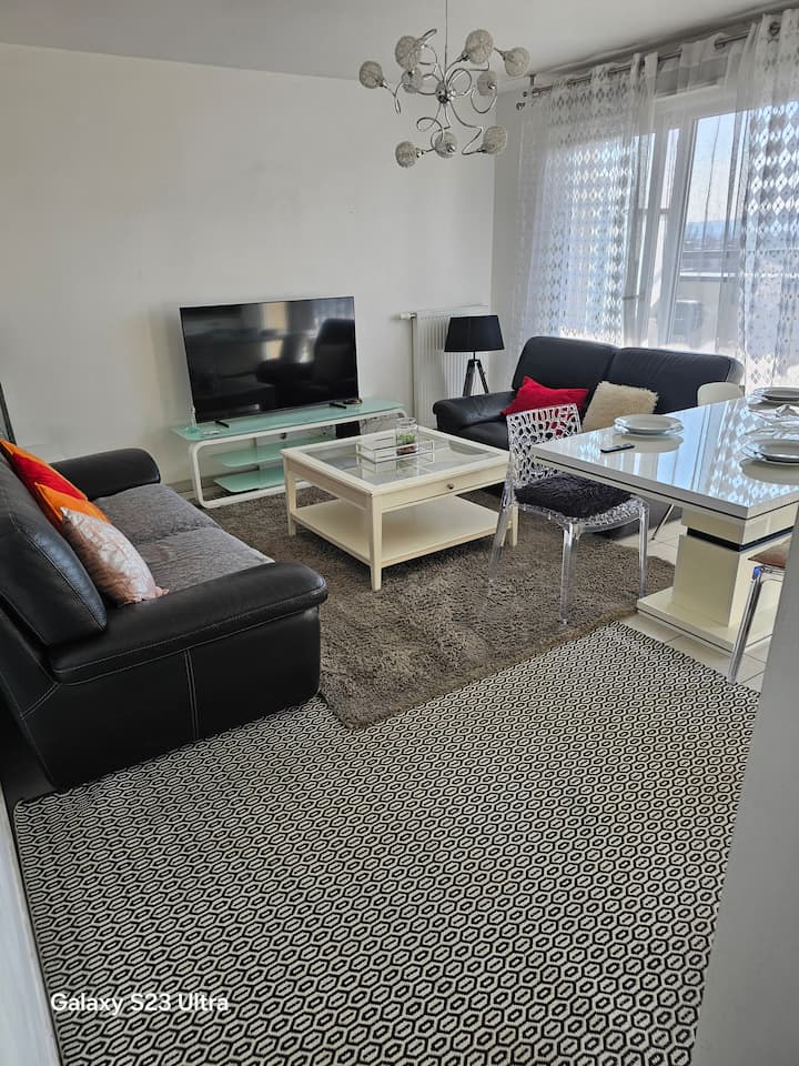 T-3 Au Centre Ville Près Du Tram Et Bus,  Luxe Chu - Dijon