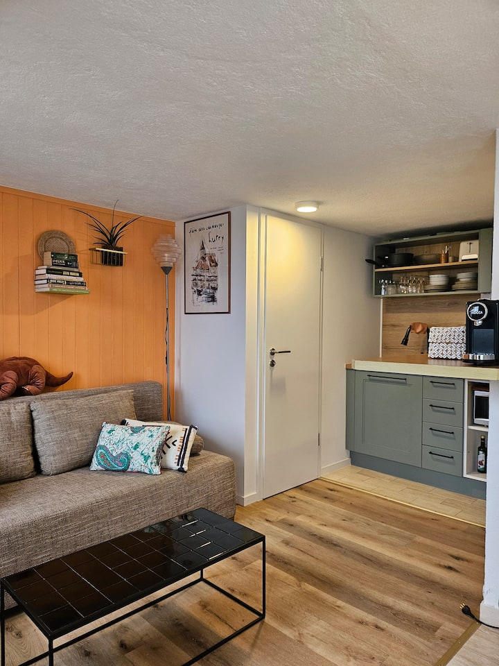 Cosy Vineyards 1 Bedroom Apartment With A View! - Lausanne