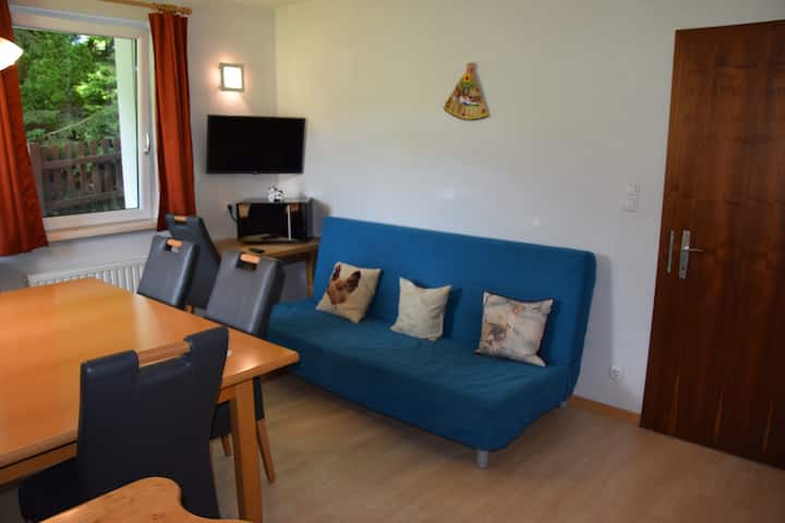 Brownies Apartment Oliver 4 - Wagrain