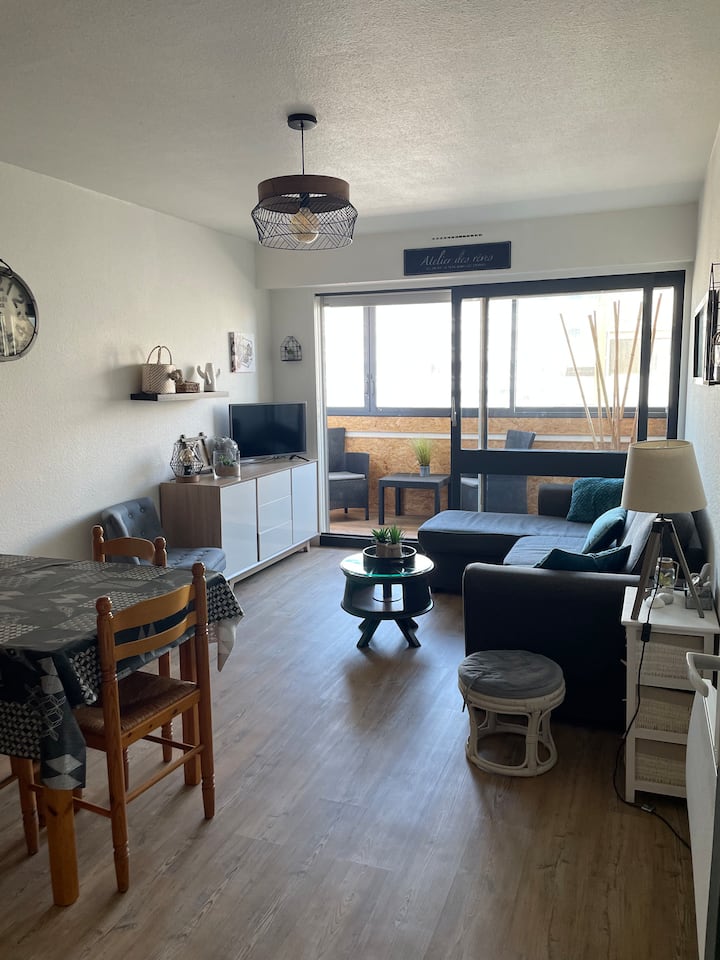 Appartement Charmant Au Pied De La Plage - Saint-Jean-de-Monts