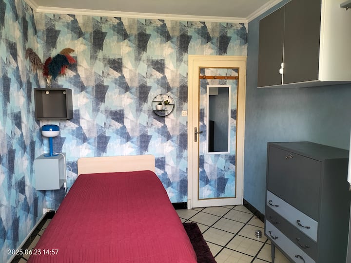 Chambre Bleue Chez L'habitant - Auch
