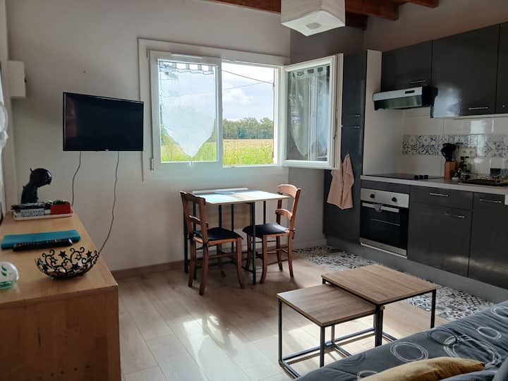 Deux-pièces 1* En Campagne Avec Terrasse - Aire-sur-l'Adour