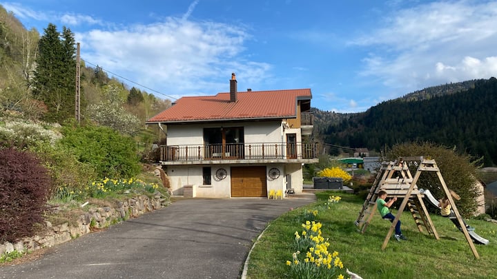 Gîte 12pers. Le Barbapou Jacuzzi Près La Bresse - Bussang