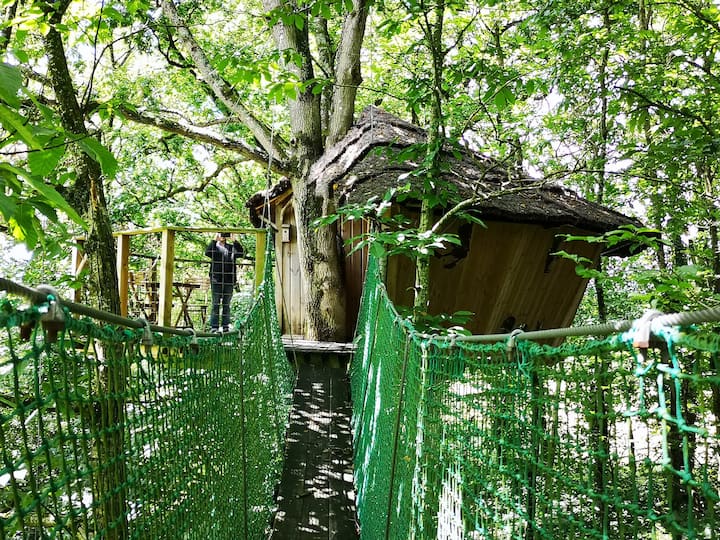 Manoir De L'alleu - Cabane Des Elfes - Tinténiac
