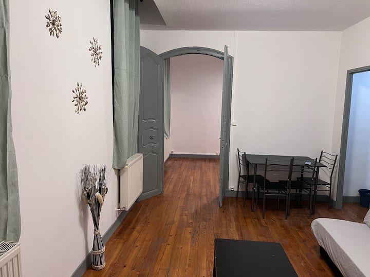 Grand Appartement Lumineux - Saint-Gaudens